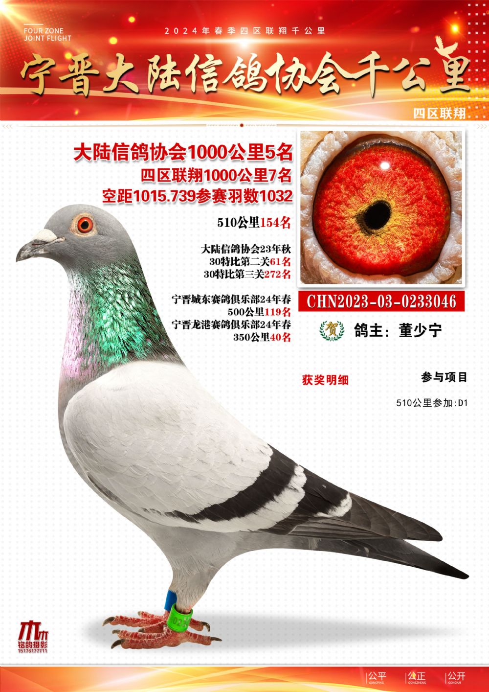 信鸽在线拍卖平台 - 中国信鸽信息网