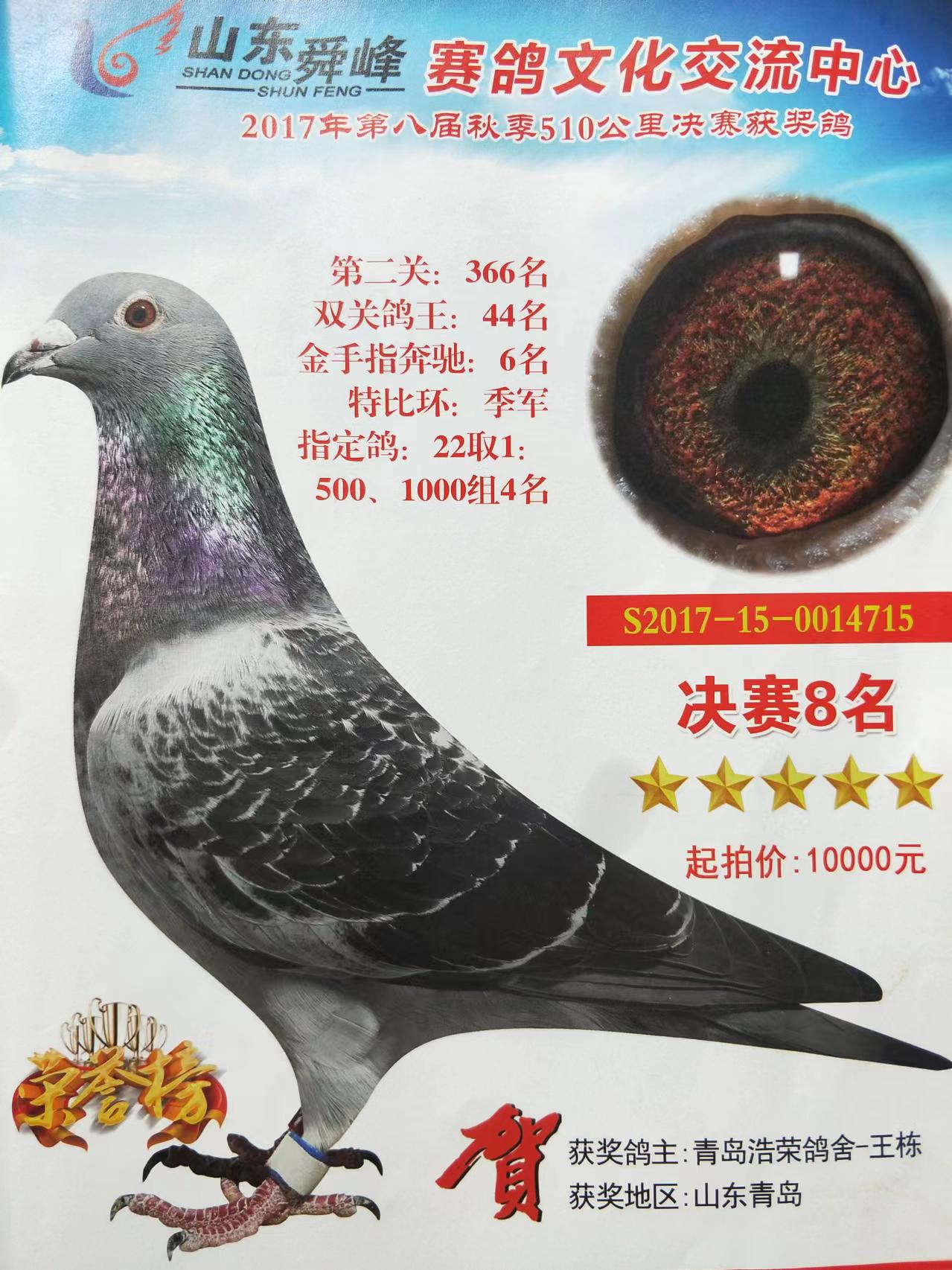 信鸽在线拍卖平台 - 中国信鸽信息网