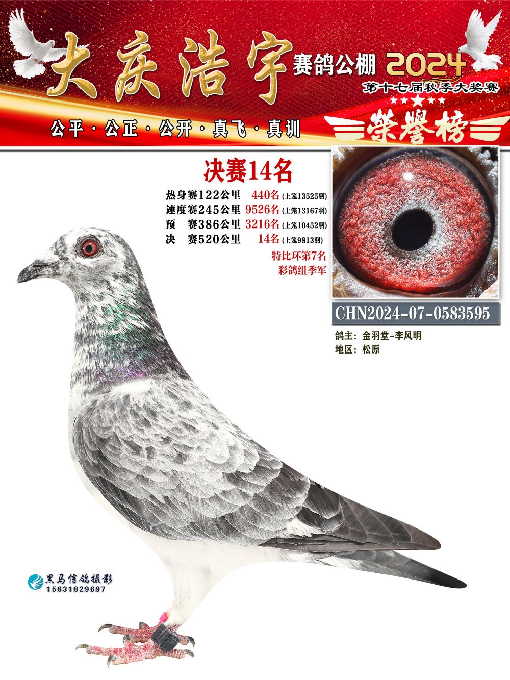 信鸽在线拍卖平台 - 中国信鸽信息网