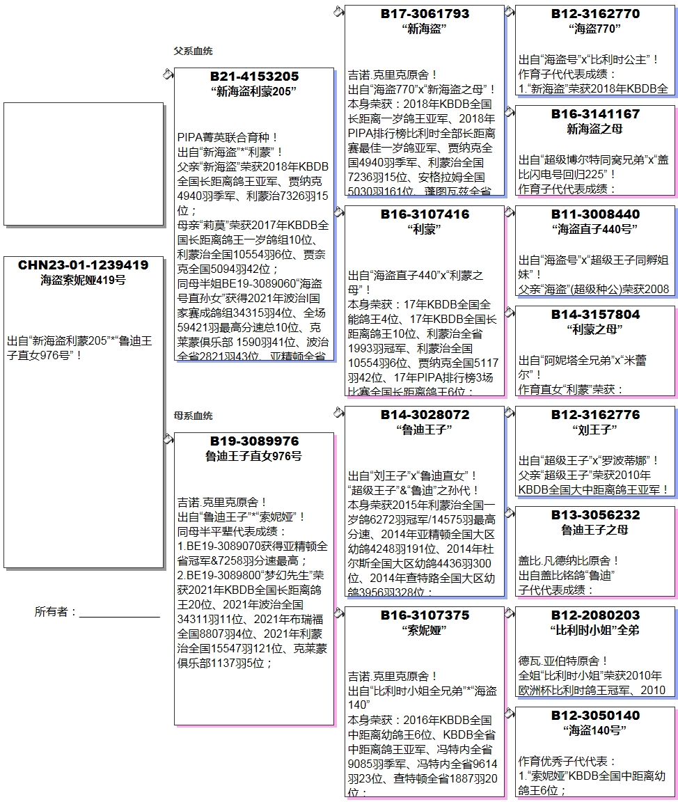 信鸽在线拍卖平台 - 中国信鸽信息网