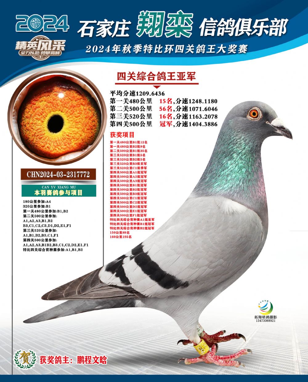 信鸽在线拍卖平台 - 中国信鸽信息网