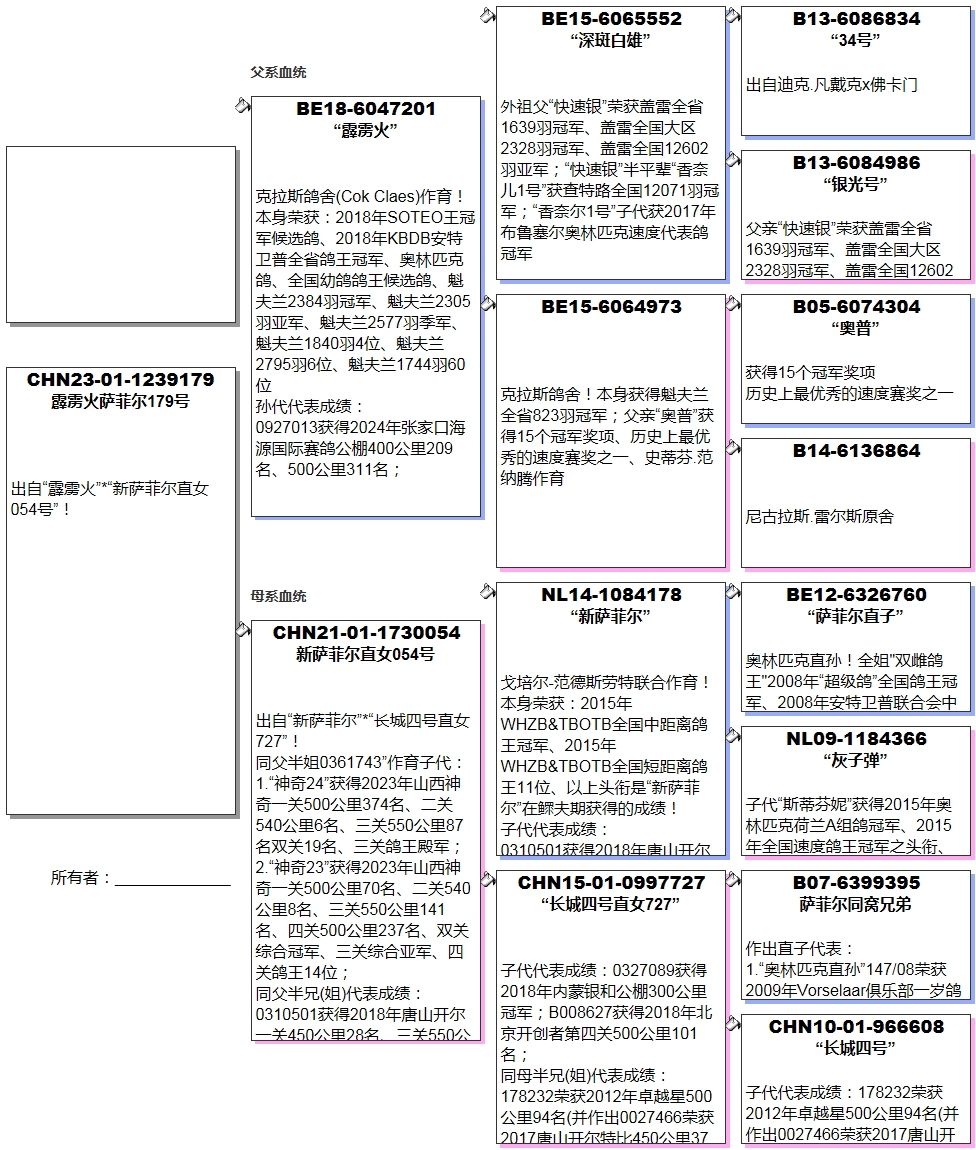 信鸽在线拍卖平台 - 中国信鸽信息网
