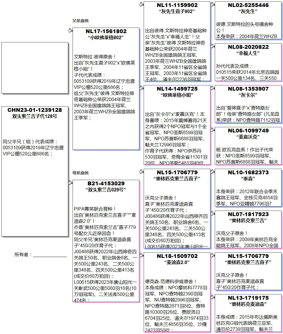 信鸽在线拍卖平台 - 中国信鸽信息网