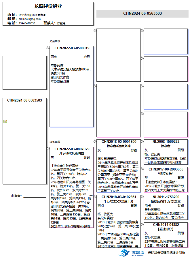 信鸽在线拍卖平台 - 中国信鸽信息网
