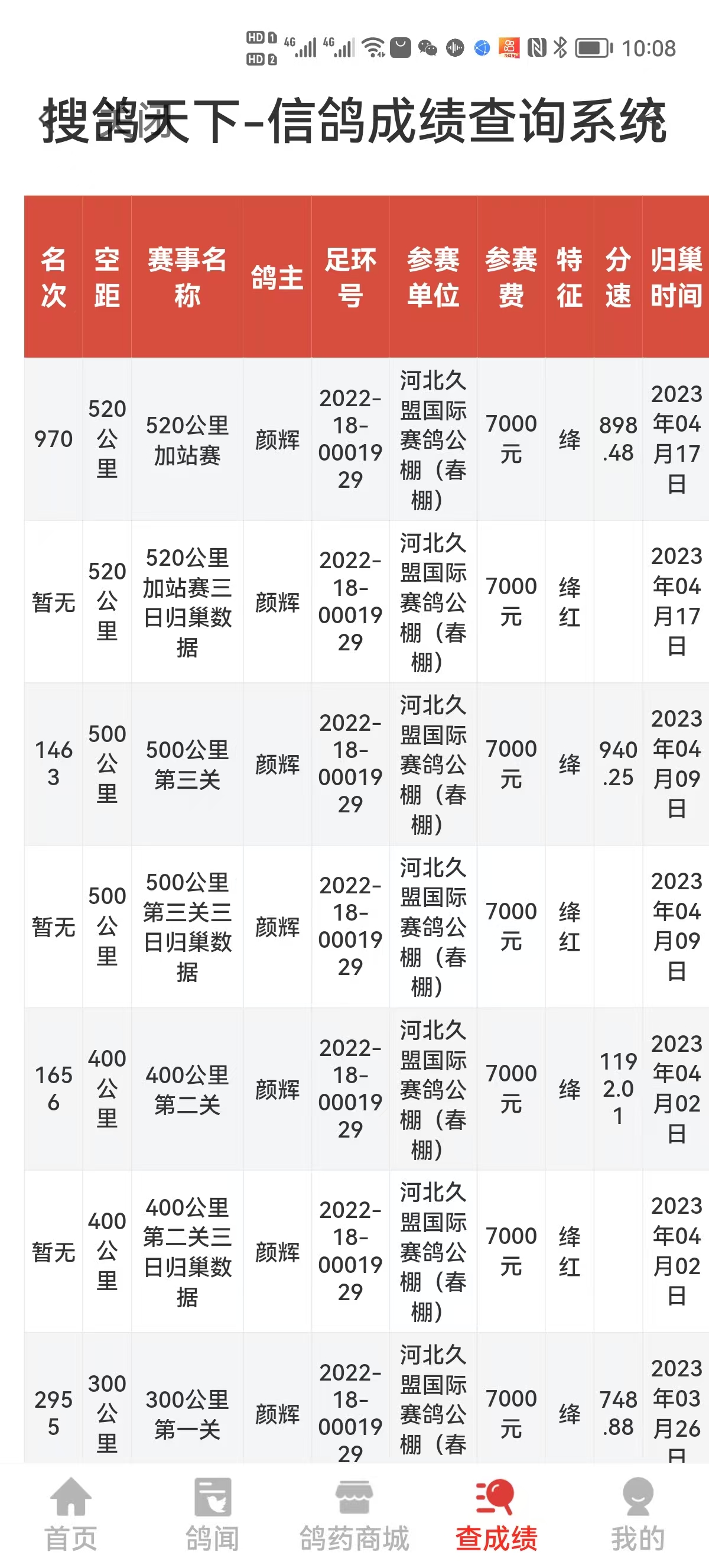 信鸽在线拍卖平台 - 中国信鸽信息网