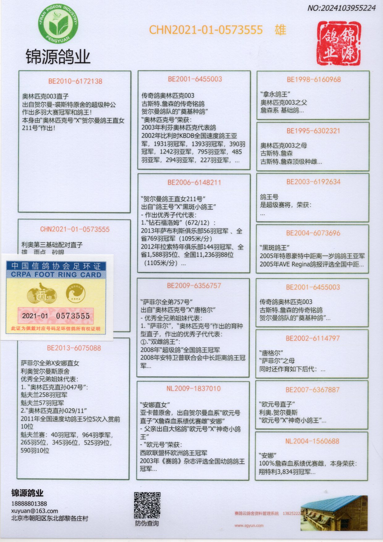 信鸽在线拍卖平台 - 中国信鸽信息网