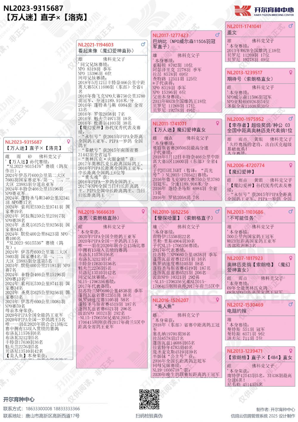 信鸽在线拍卖平台 - 中国信鸽信息网
