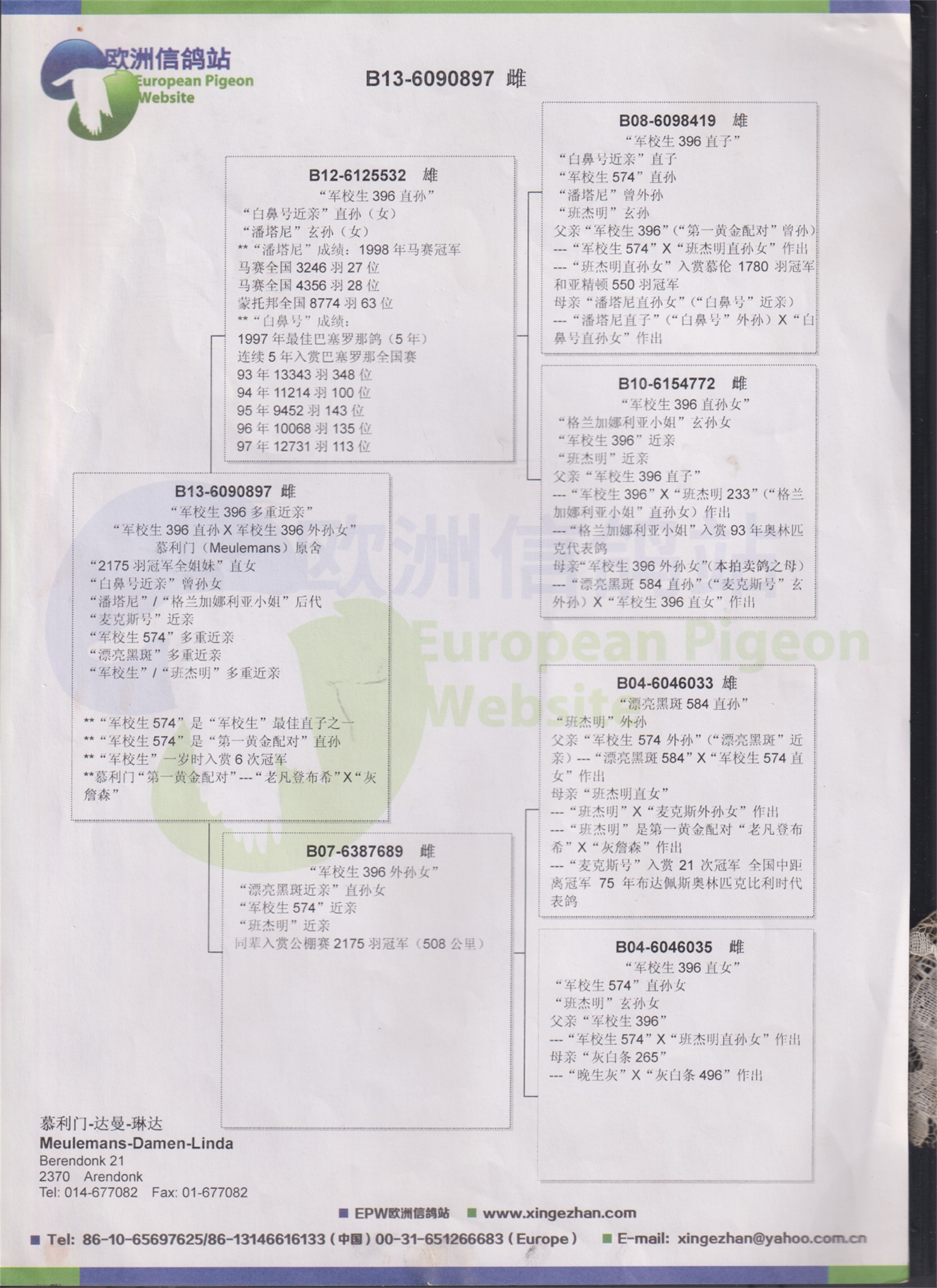 信鸽在线拍卖平台 - 中国信鸽信息网