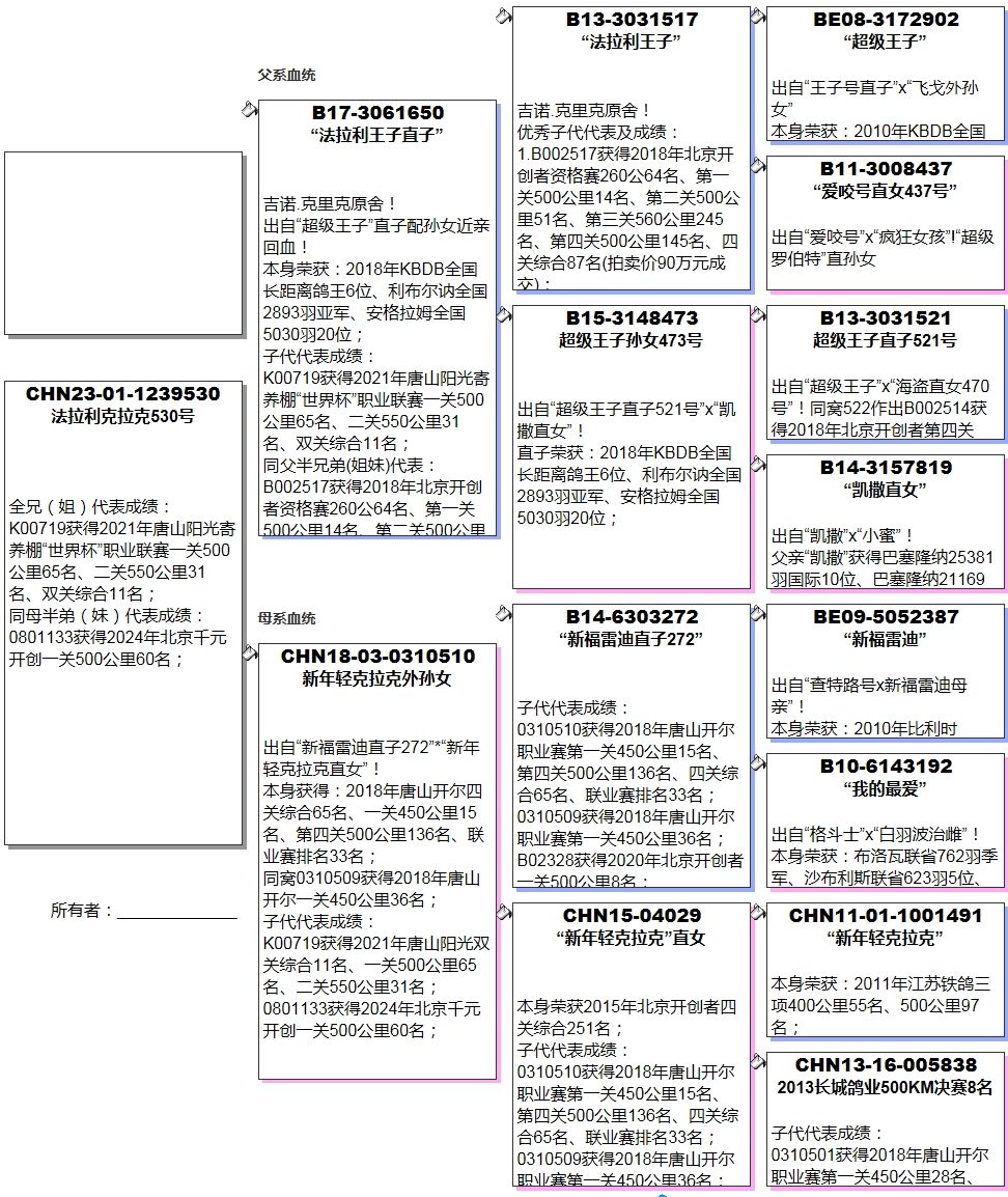 信鸽在线拍卖平台 - 中国信鸽信息网
