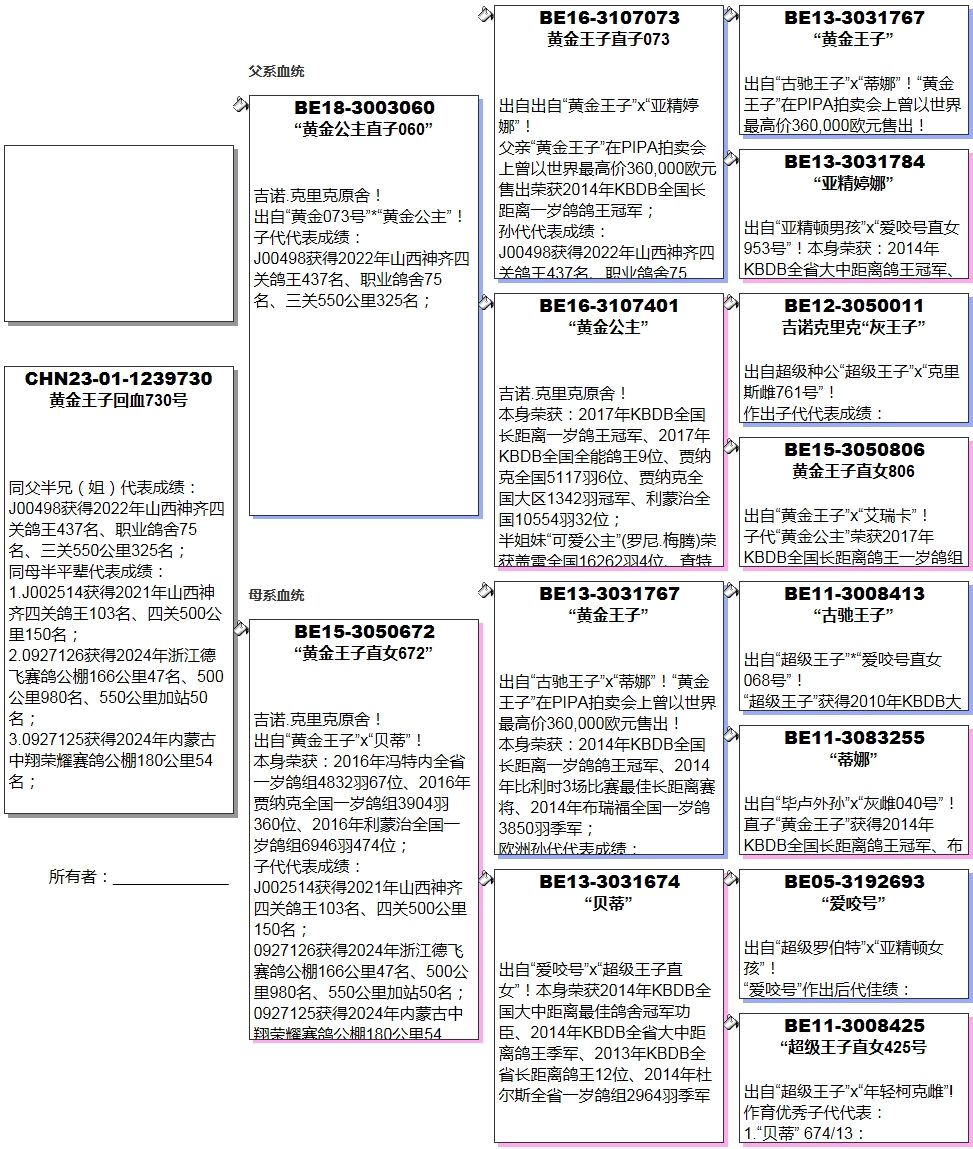信鸽在线拍卖平台 - 中国信鸽信息网