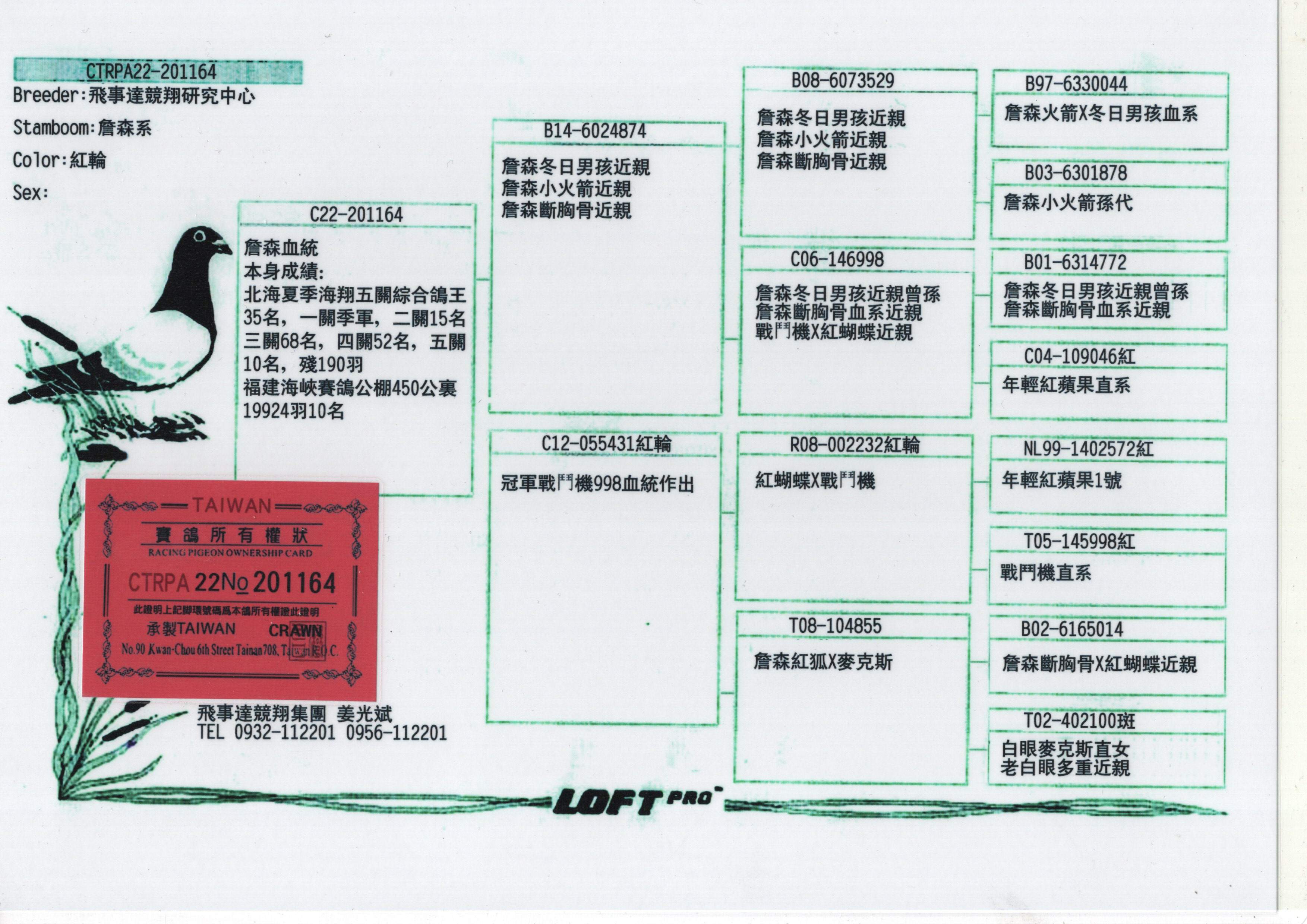 信鸽在线拍卖平台 - 中国信鸽信息网