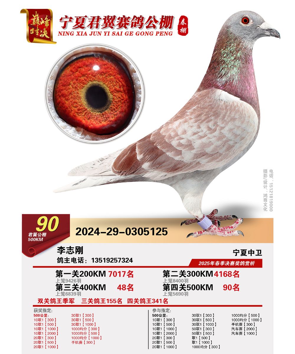 信鸽在线拍卖平台 - 中国信鸽信息网
